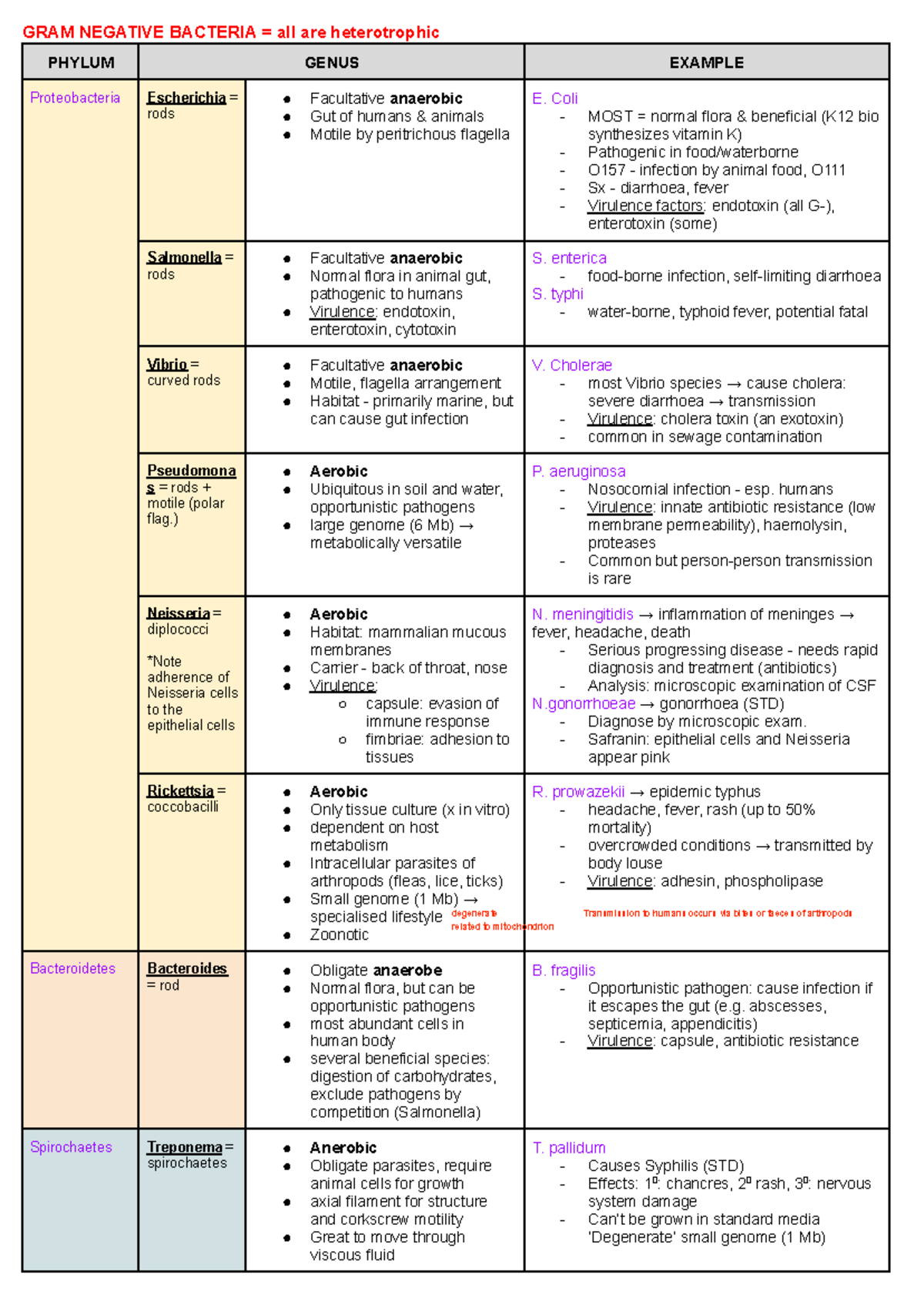 L2-3 lec note summary of gram - GRAM NEGATIVE BACTERIA = all are ...