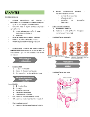 Glinidas: farmacocinética, farmacodinamía y administración - GLINIDAS ...