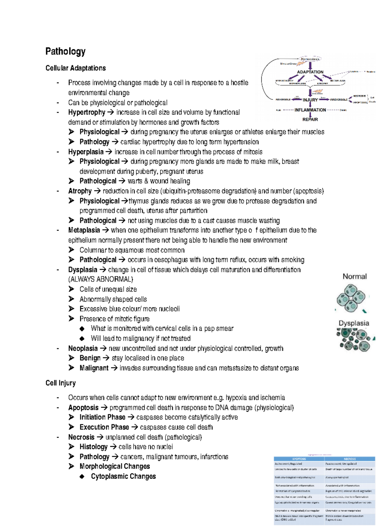 Lecture 3 Pathology 1 Overview - Pathology Cellular Adaptations ...