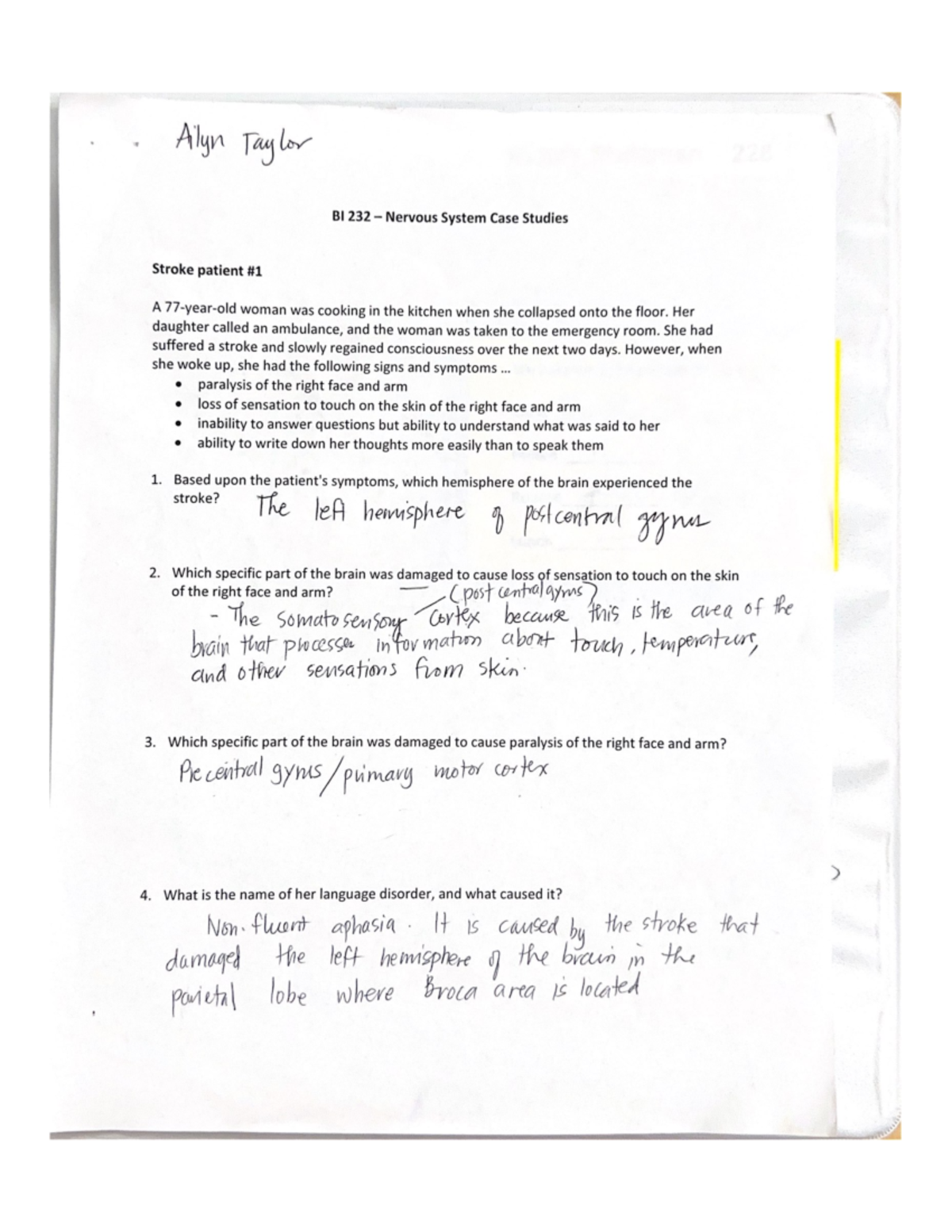 BI 232 - Nervous System Case Studies - BI 232 - Studocu