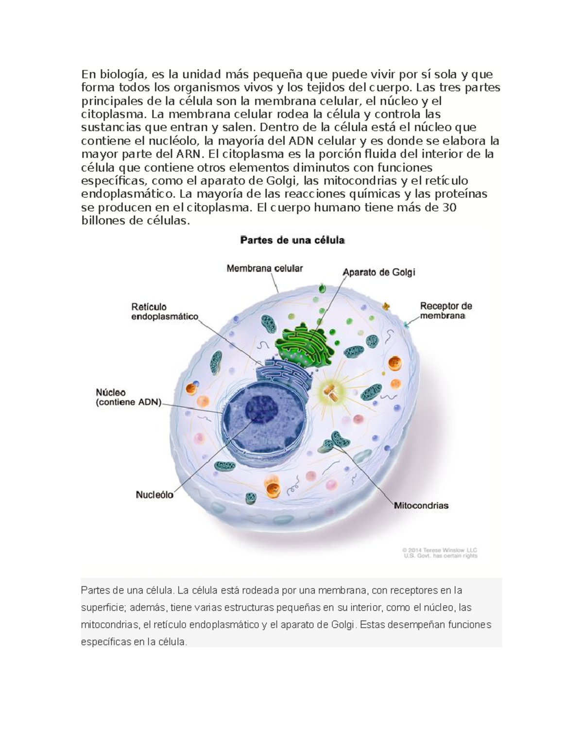 La celula completa animal y vegetal - Biología Celular - UNAM - Studocu