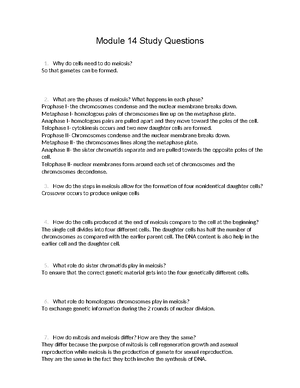 DHM3 Task 1 - DHM3 - Jessica Brown D DHM3 Task A1. One ethical ...