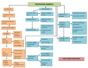 Ensayo Protocolo DE Minnesota en el Nuevo Sistema Penal - UNIVERSIDAD ...