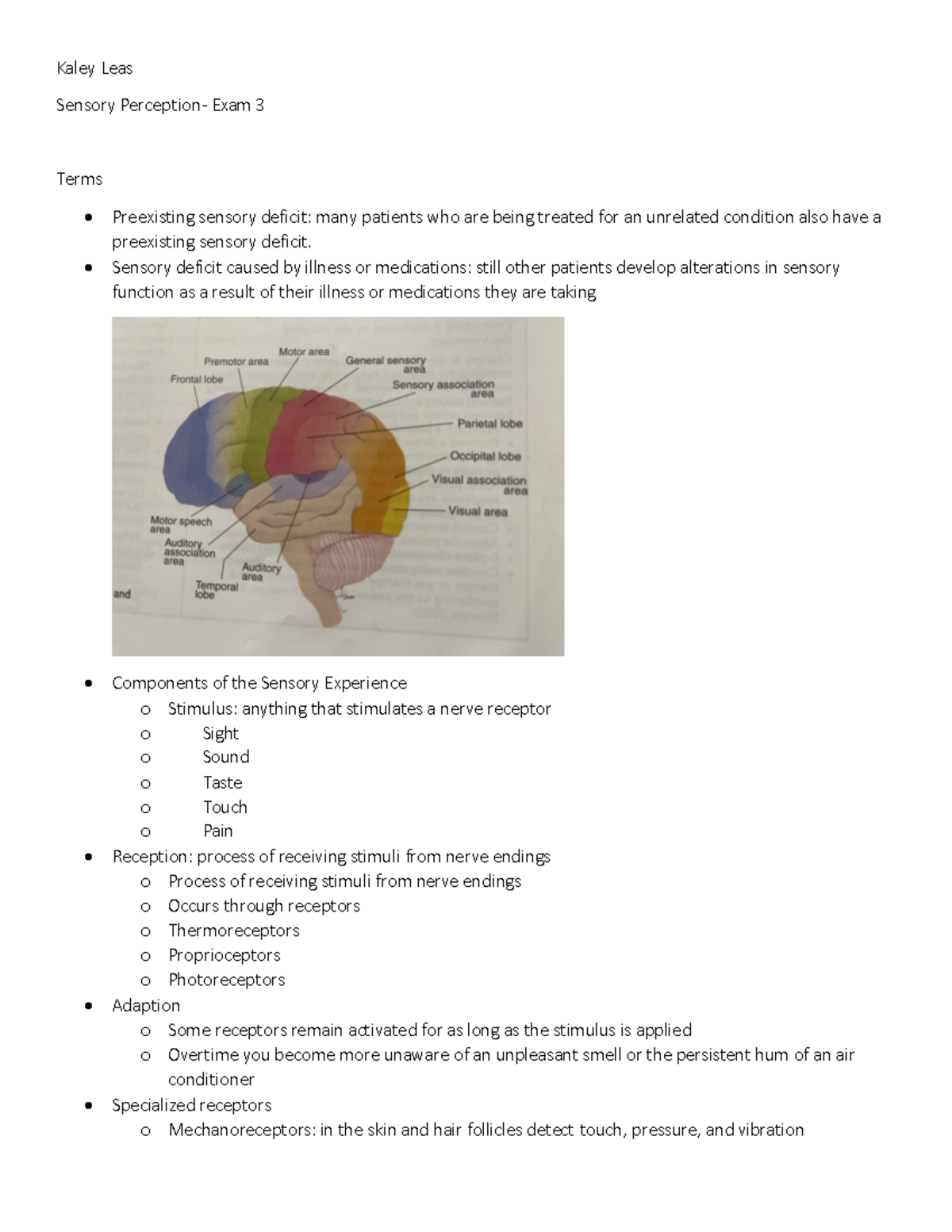 Sensory Perception- Exam 3 - Kaley Leas Sensory Perception- Exam 3 ...