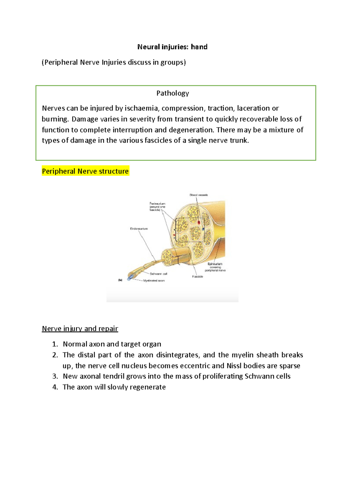 Neural injuries hand - Neural injuries: hand (Peripheral Nerve Injuries ...