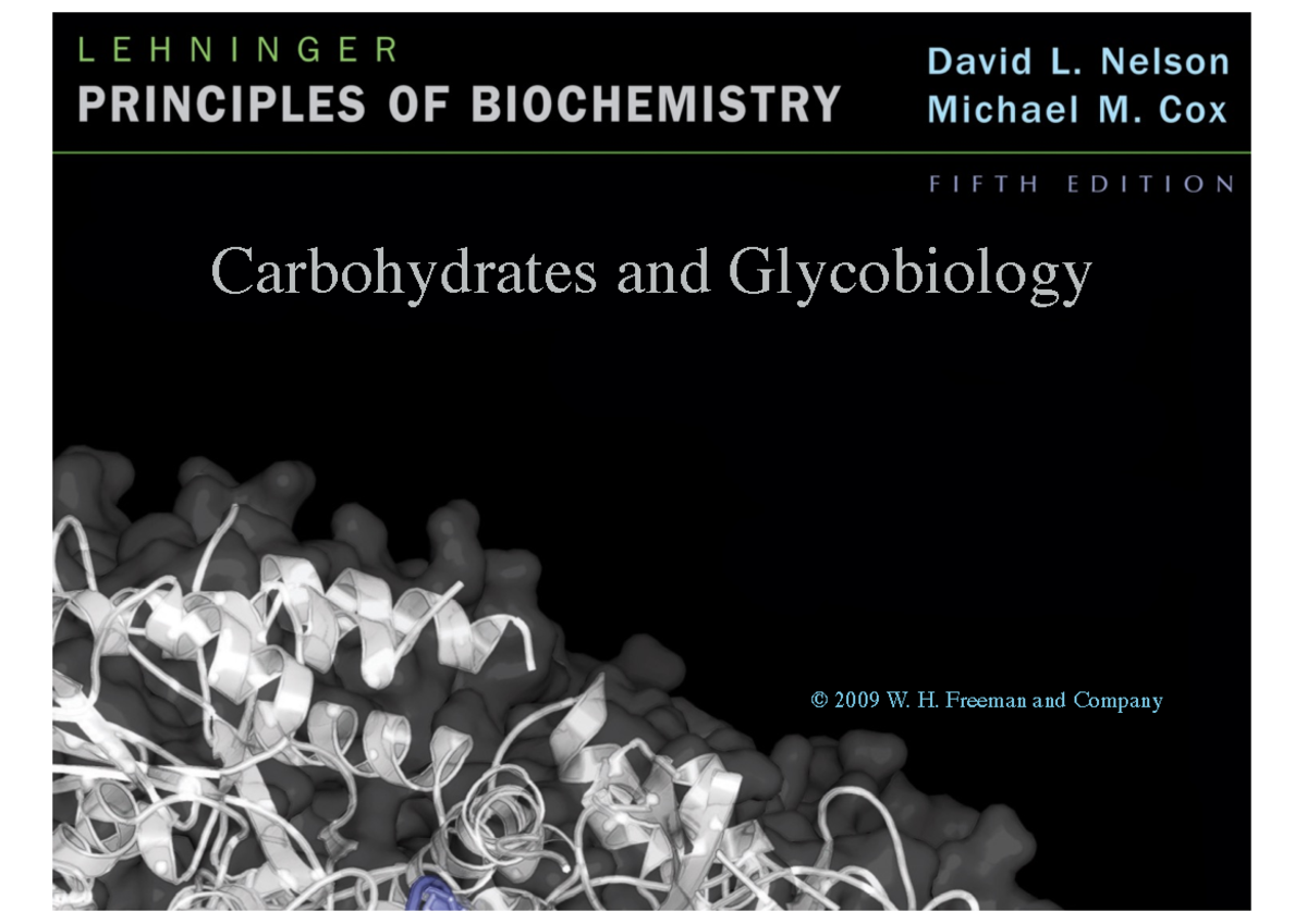 Lecture 6 - biochemistry - Carbohydrates and Glycobiology © 2009 W. H ...