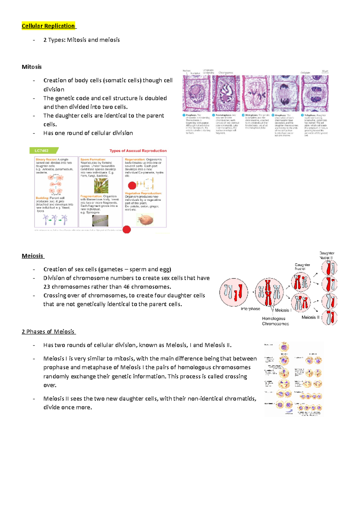 Cellullar Replication and Variation - Cellular Replication - 2 Types ...