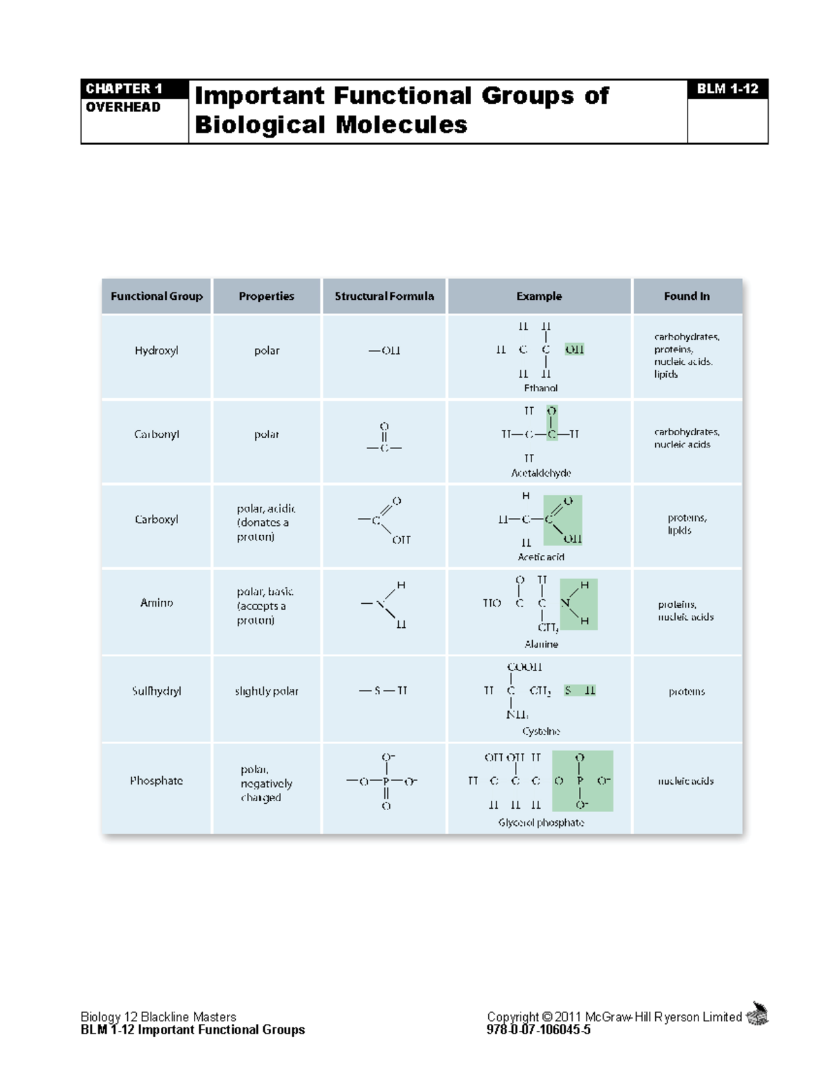 1.1 Functional Group Handout - Biology 12 Blackline Masters BLM 1-12 ...