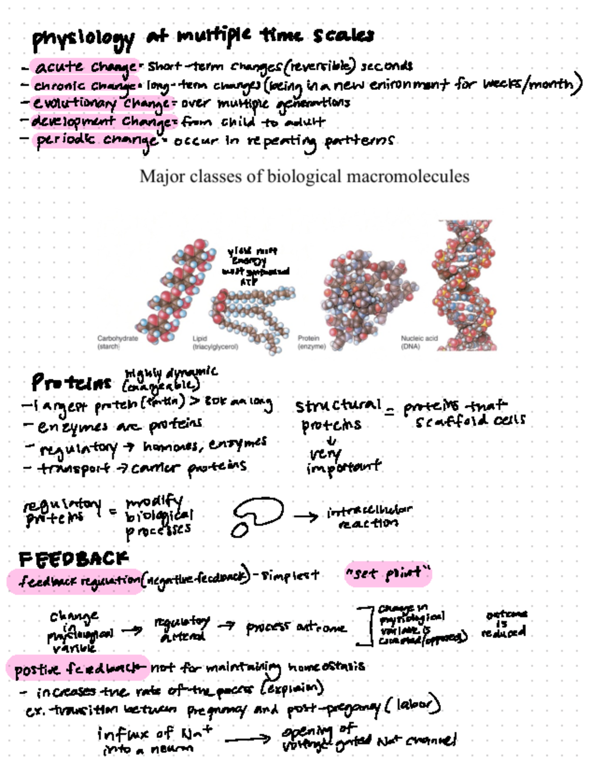 315 Lecture Notes - up to exam 2 - acute development change periodic ...