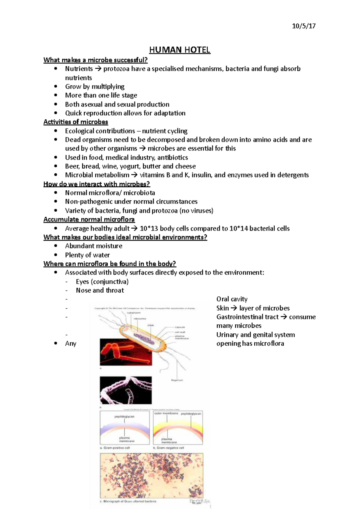 Human Hotel - Lecture note 16 - HUMAN HOTEL What makes a microbe ...