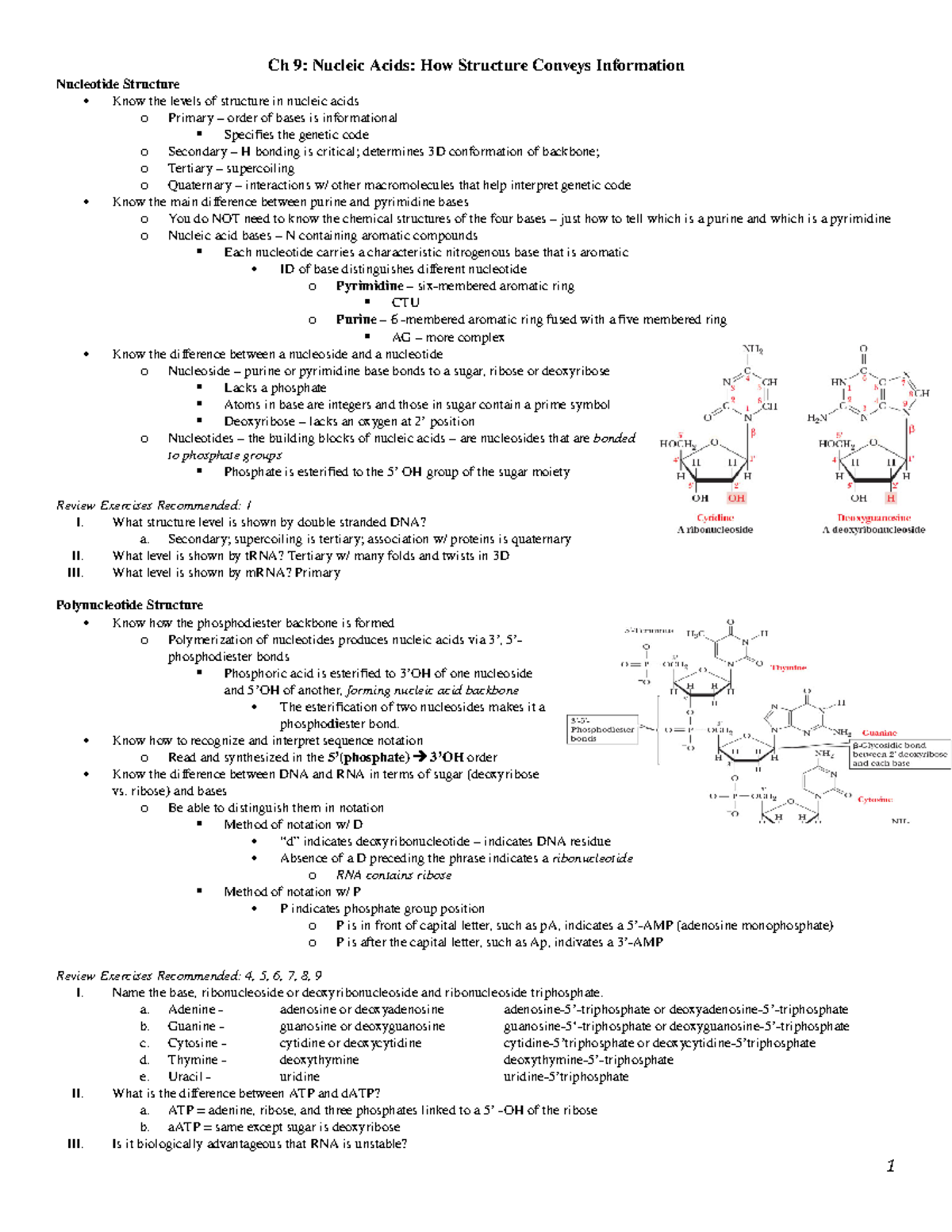 Ch09 LO Su18 - ch10 - Ch 9: Nucleic Acids: How Structure Conveys ...