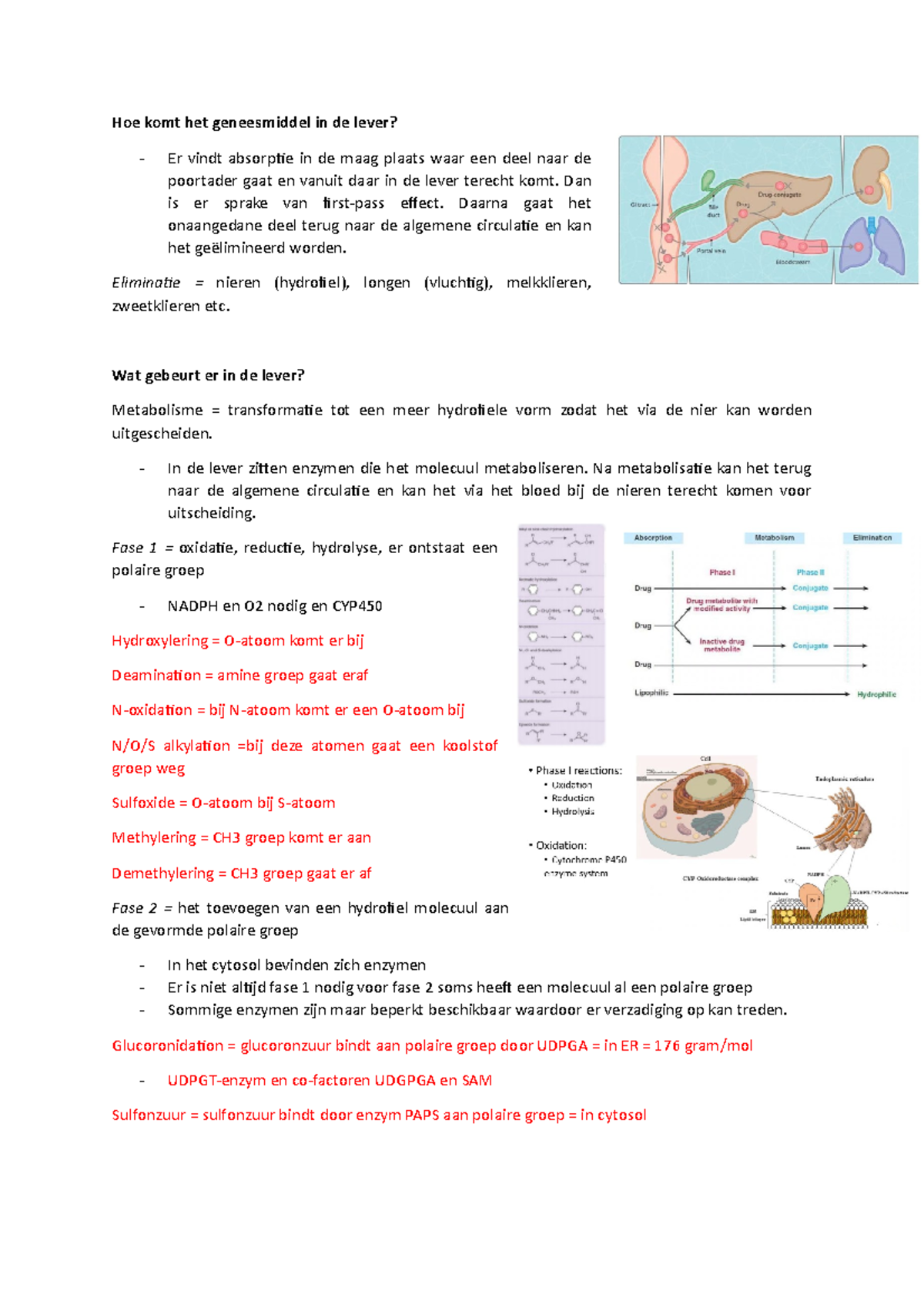 Hepatische klaring - Hoe komt het geneesmiddel in de lever? Er vindt ...
