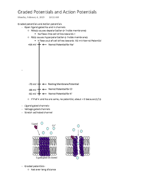 2 - Graded Potential and Action Potential - Graded potentials and ...
