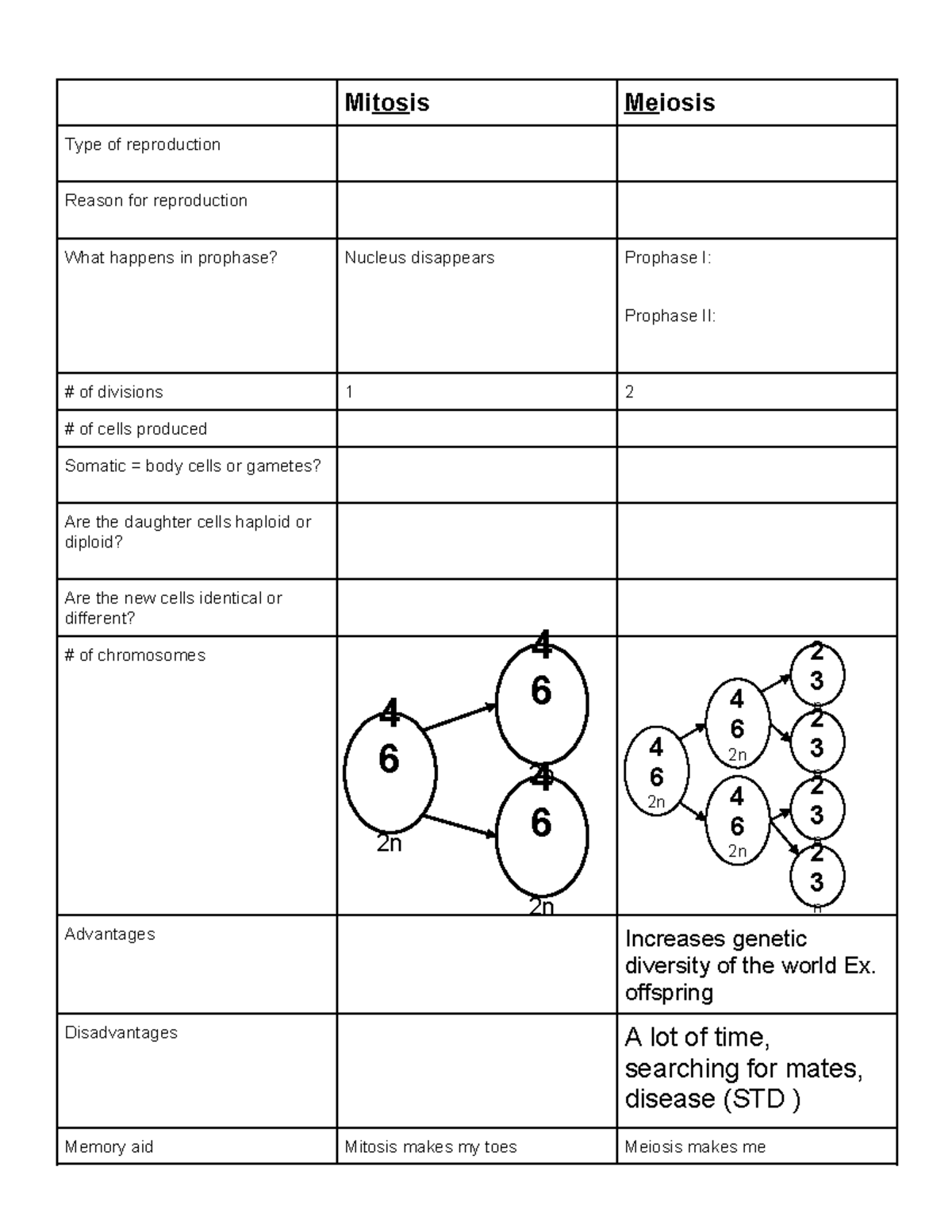 Copy of Mitosis vs Meiosis worksheet - Mitosis Meiosis Type of ...