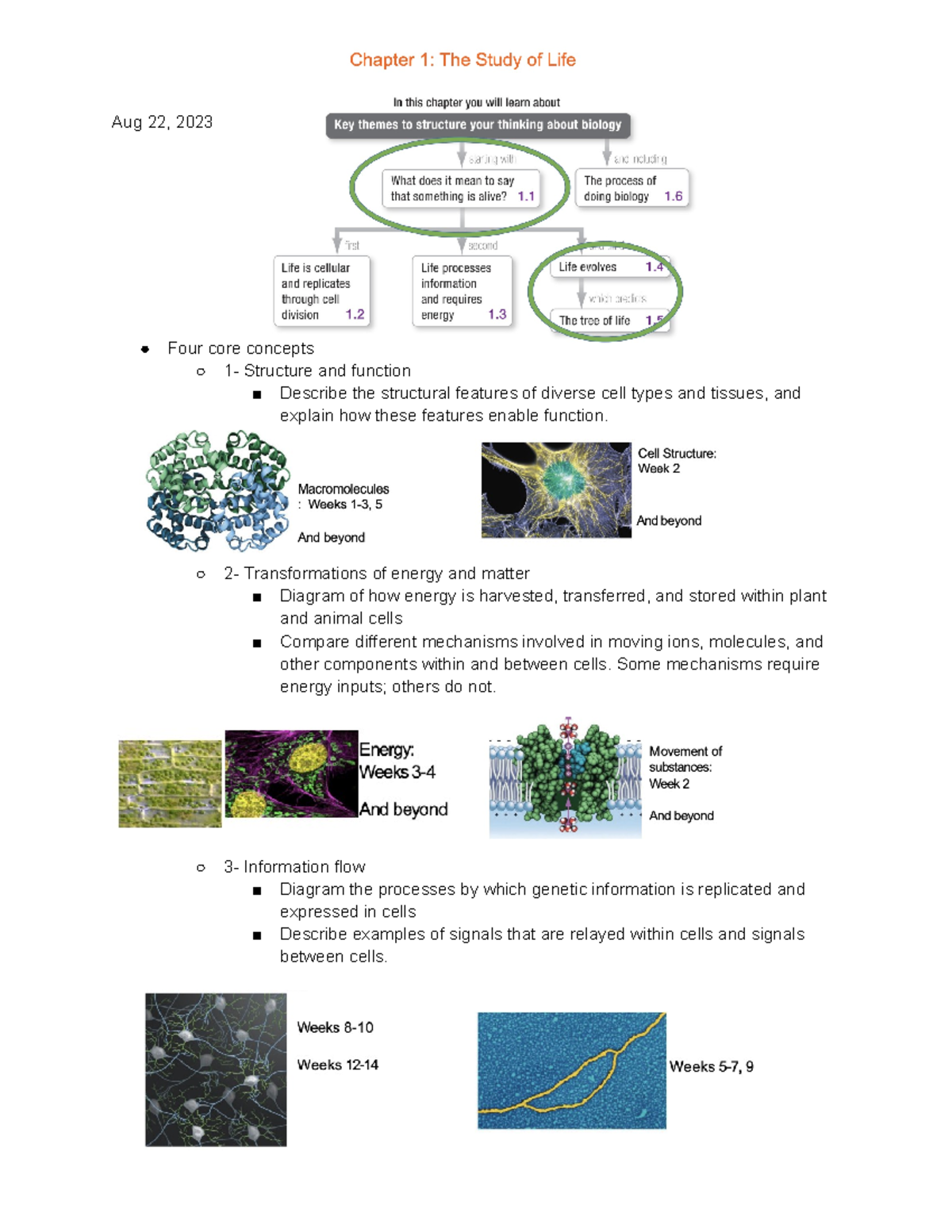 Chapter 1 - the study of life - Aug 22, 2023 Four core concepts 1 ...