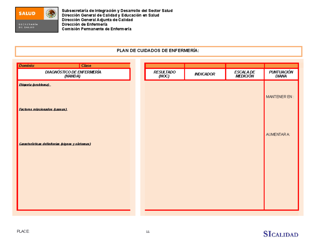 Formato Place - final - Dominio: Clase DIAGNÓSTICO DE ENFERMERÍA (NANDA ...