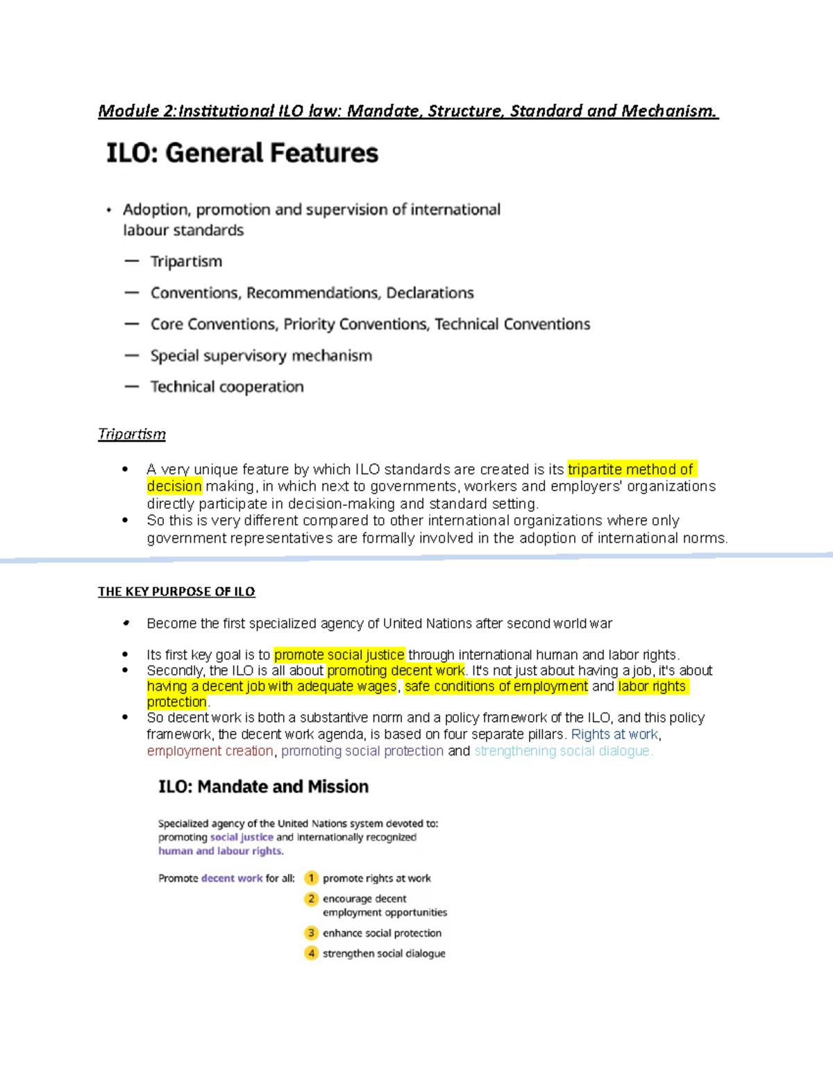 International labour law module 2 - Module 2:Institutional ILO law ...