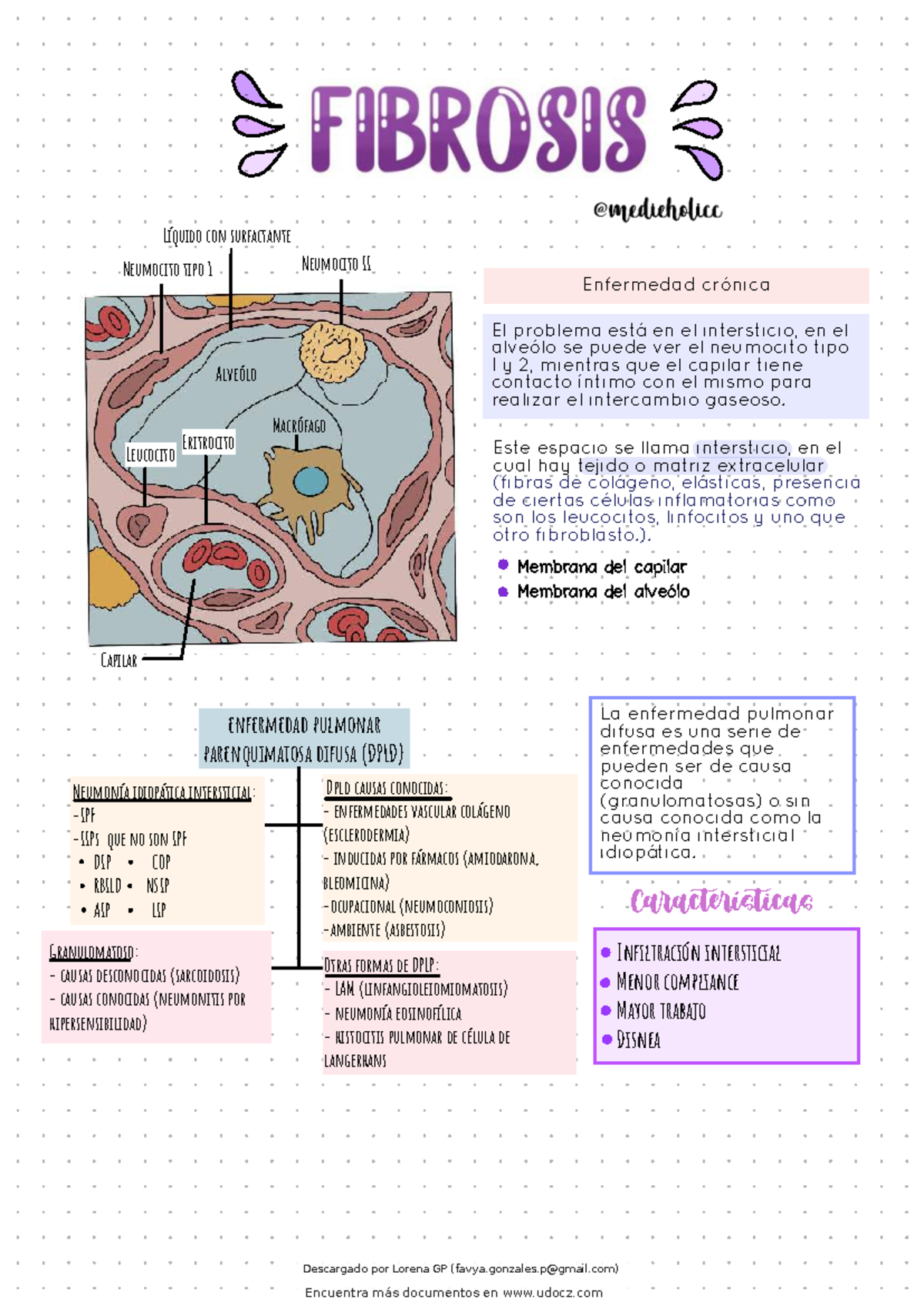 Fibrosis pulmonar - Este espacio se llama intersticio, en el cual hay ...