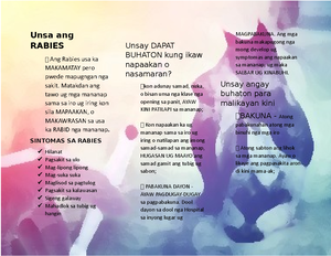 Communicable-Diseases - INFECTIOUS DISEASE NURSING COMMUNICABLE ...