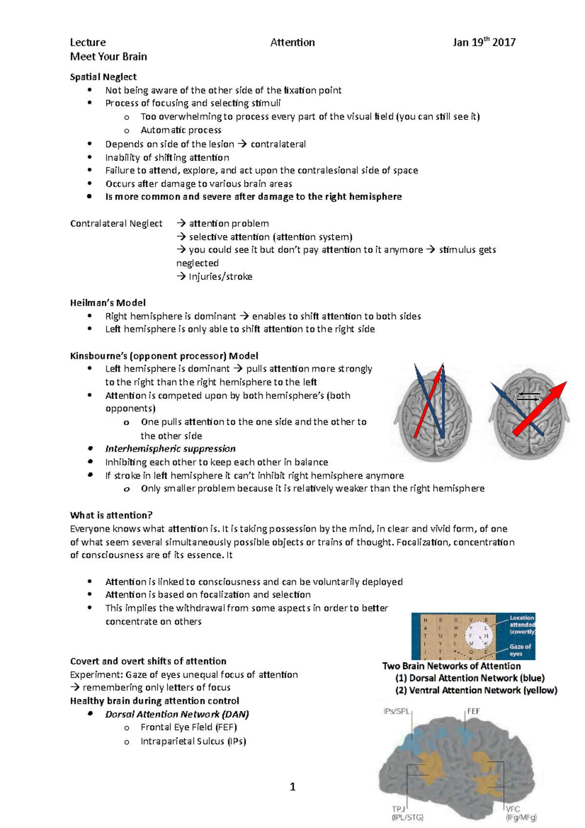 MEET YOUR Brain - Lecture Attention - Lecture Attention Jan 19th 2017 ...