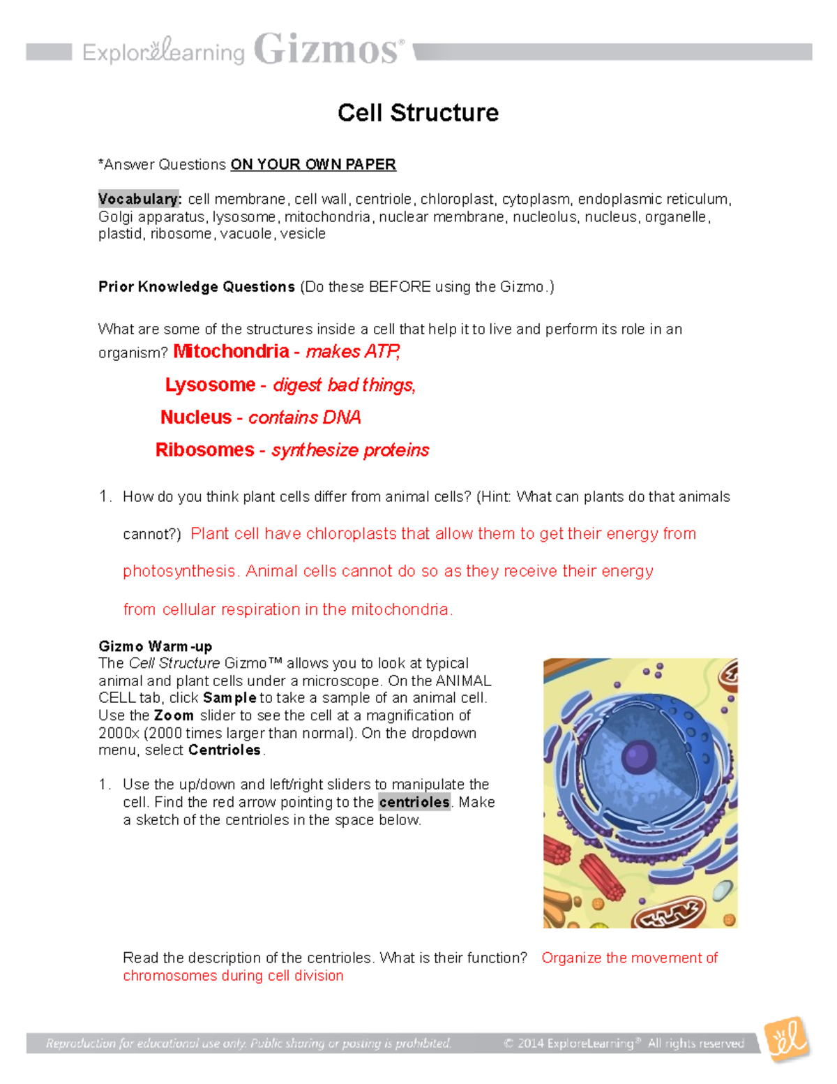 Cell Structure SE 1 Cell Structure Answer Questions ON YOUR OWN 