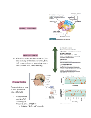 Ch. 2 - Neuroscience and Biological Foundations - Behavioral Genetics ...