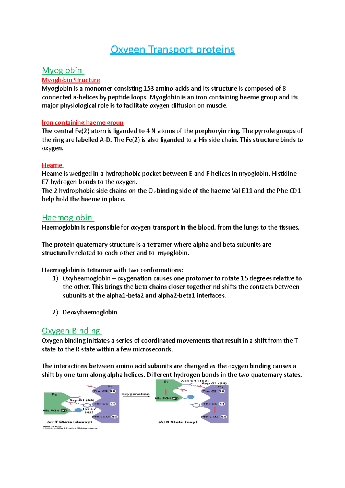 Oxygen Transport proteins - Oxygen Transport proteins Myoglobin ...