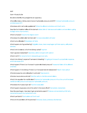 Content Section 8 Worksheet Outline - Chapter 29 What percent of our ...