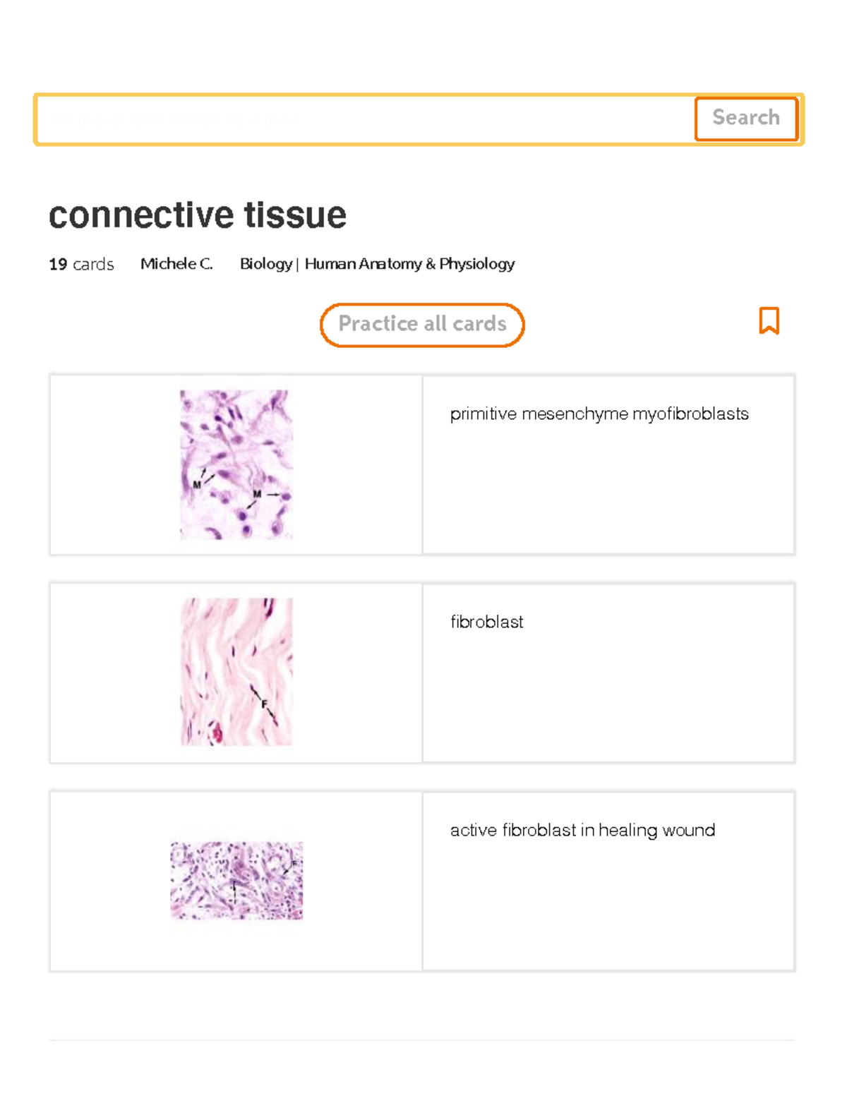 Connective tissue Flashcards - 19 cards Michele C. Biology| Human ...