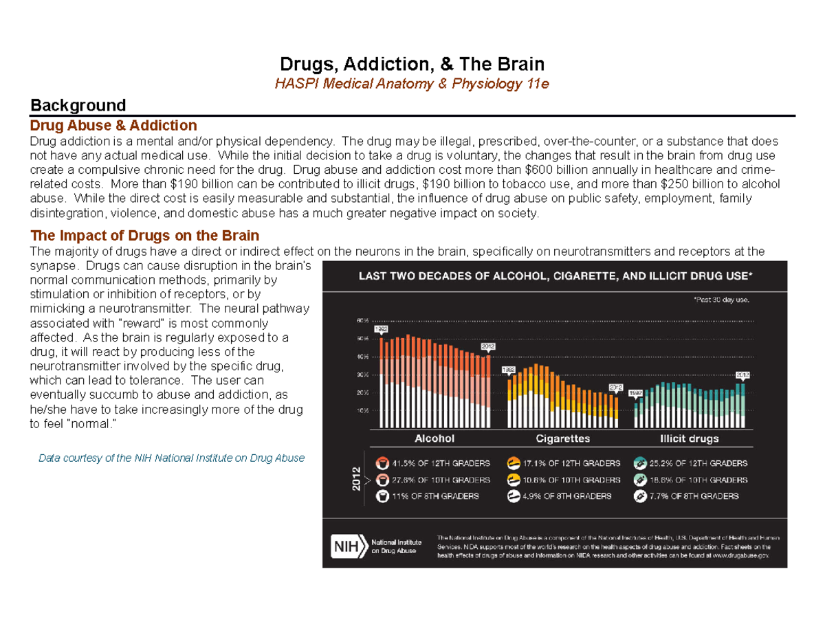 10c Drugs, Addiction and the Brain Web Activity Sheet - Drugs ...
