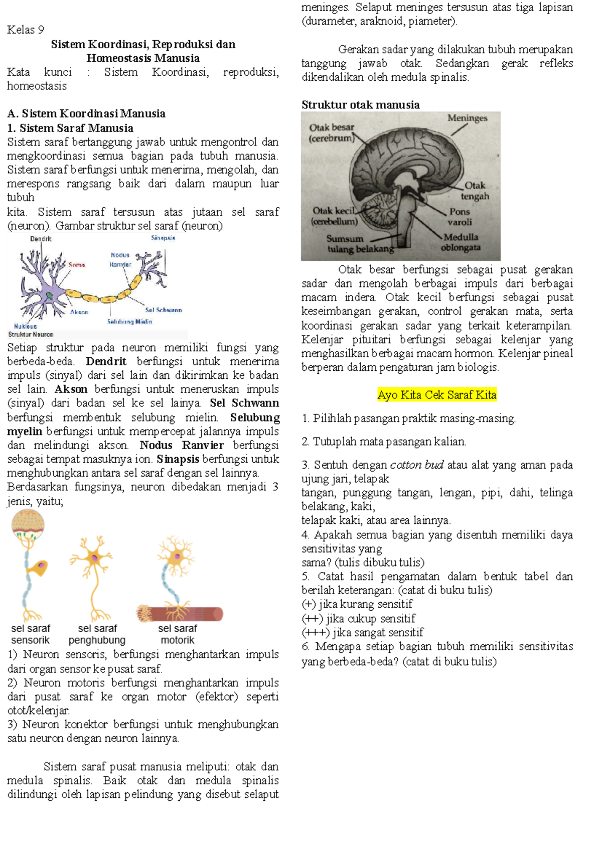 Materi 15 september Kelas 9 - Kelas 9 Sistem Koordinasi, Reproduksi dan Homeostasis Manusia Kata ...