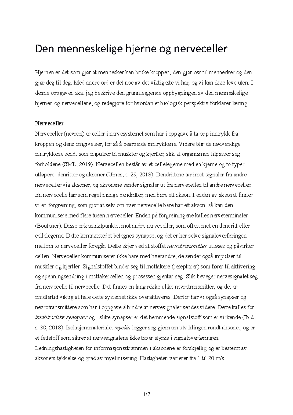 Den menneskelige hjerne og nerveceller - Med andre ord er det noe av det viktigeste vi har, og ...