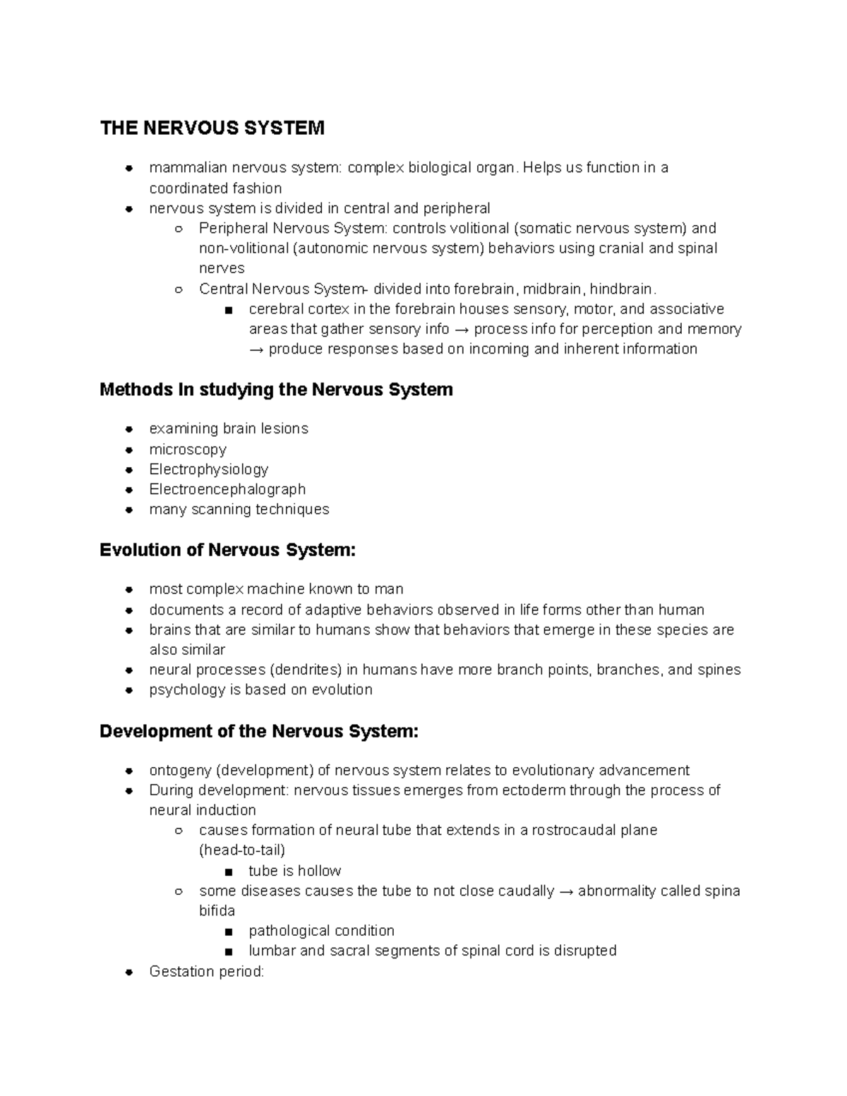 Nervous System textbook notes - THE NERVOUS SYSTEM mammalian nervous ...