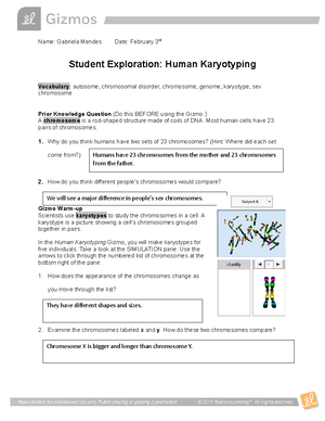 PBS Evolution Great Transformations - Name ...