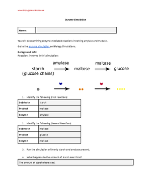 3.01 cell division Lab Report Template - 3 Cell Division Virtual Lab ...
