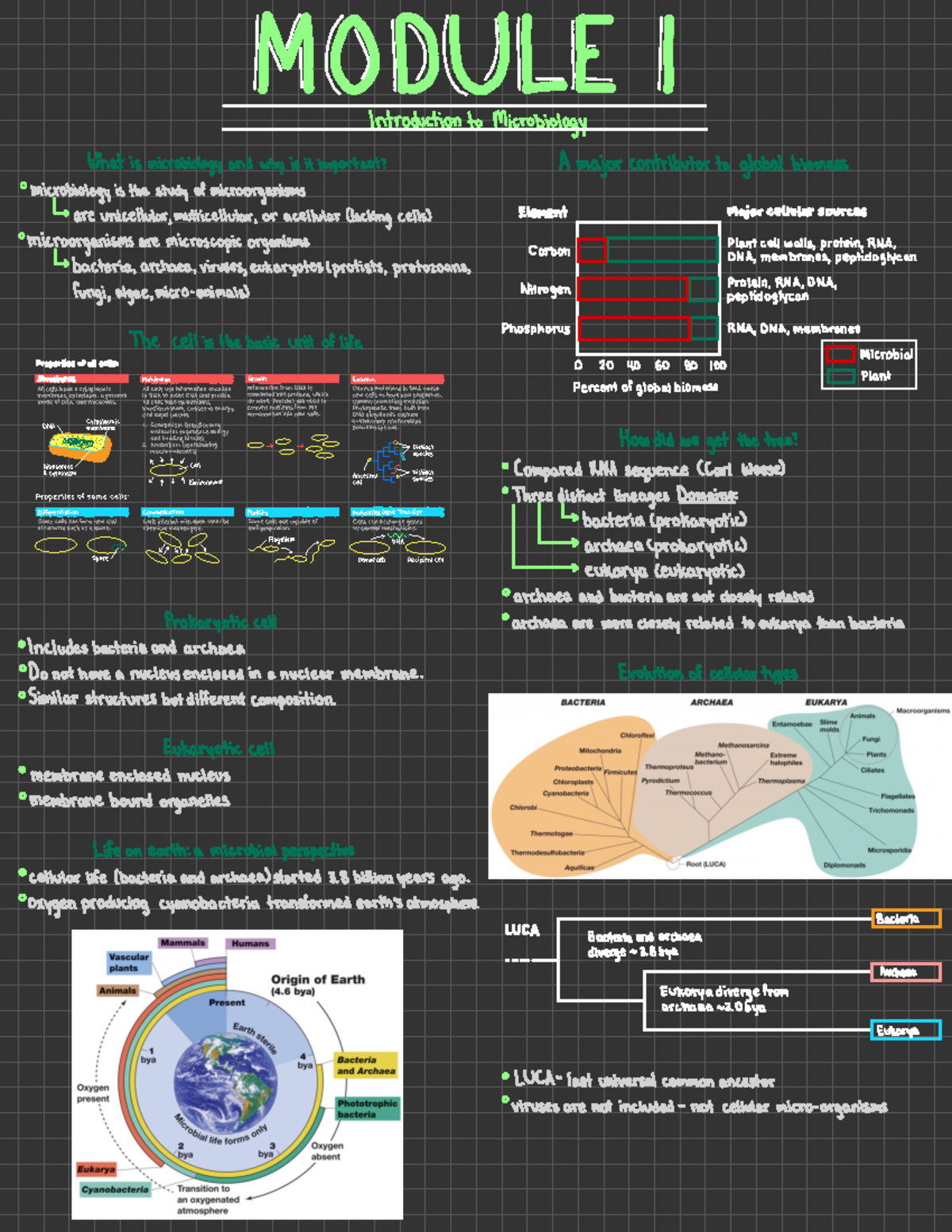 Module 1 - Intro to microbiology - g DXUHHEII Introduction to ...