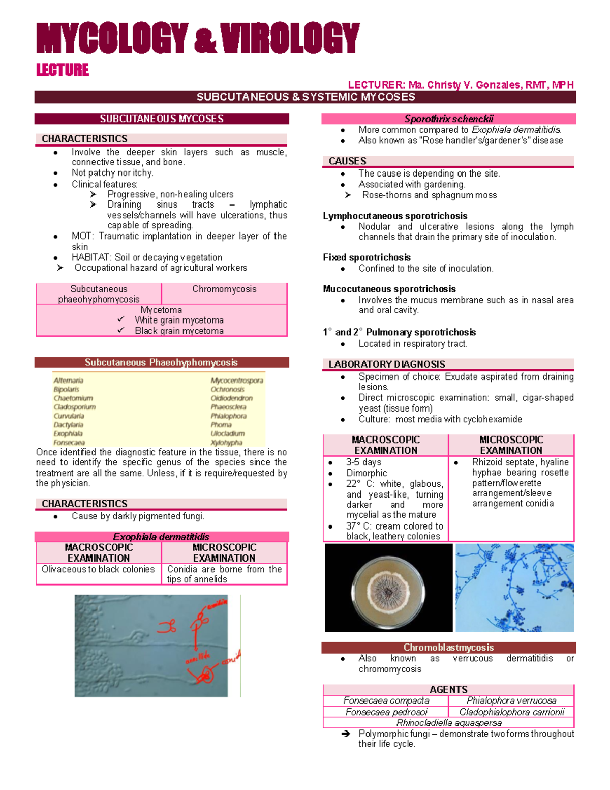 3. Subcutaneous Systemic Mycoses - MYCOLOGY & VIROLOGY LECTURE LECTURER: Ma. Christy V. - Studocu