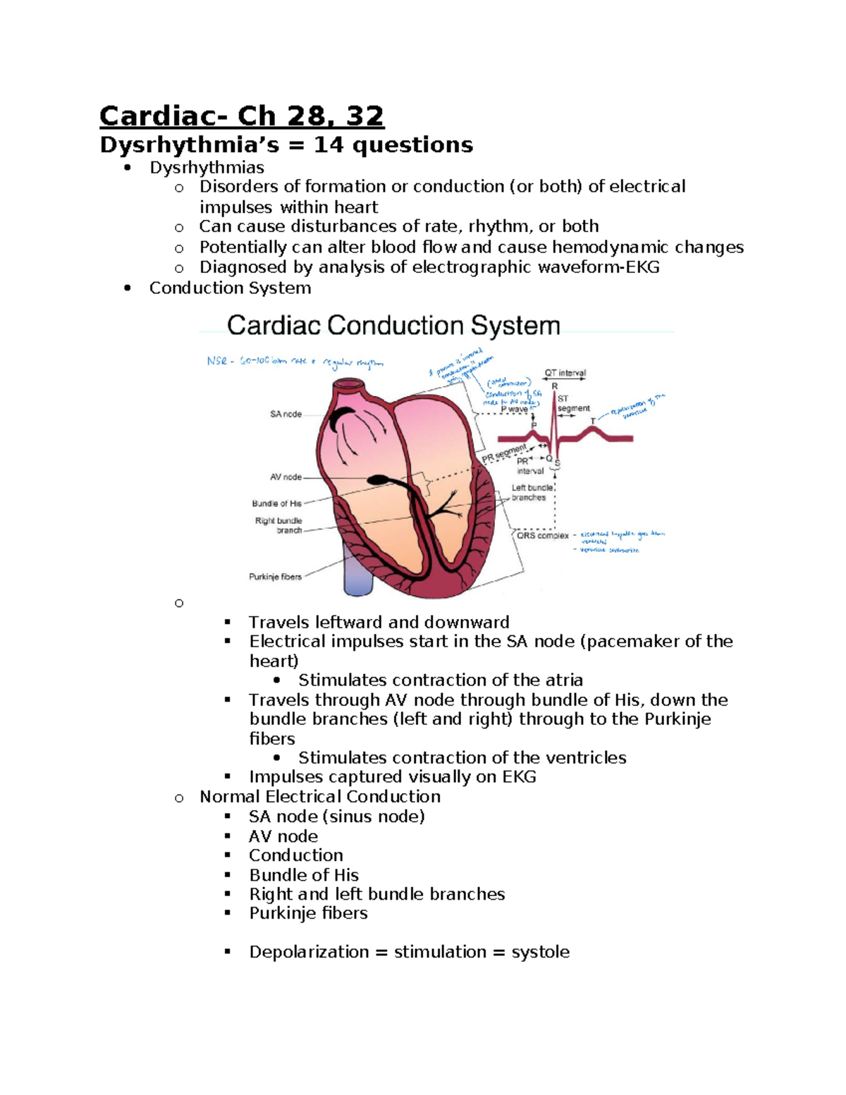 AH Exam 2 Study Guide - Lecture and textbook notes - Cardiac- Ch 28, 32 ...