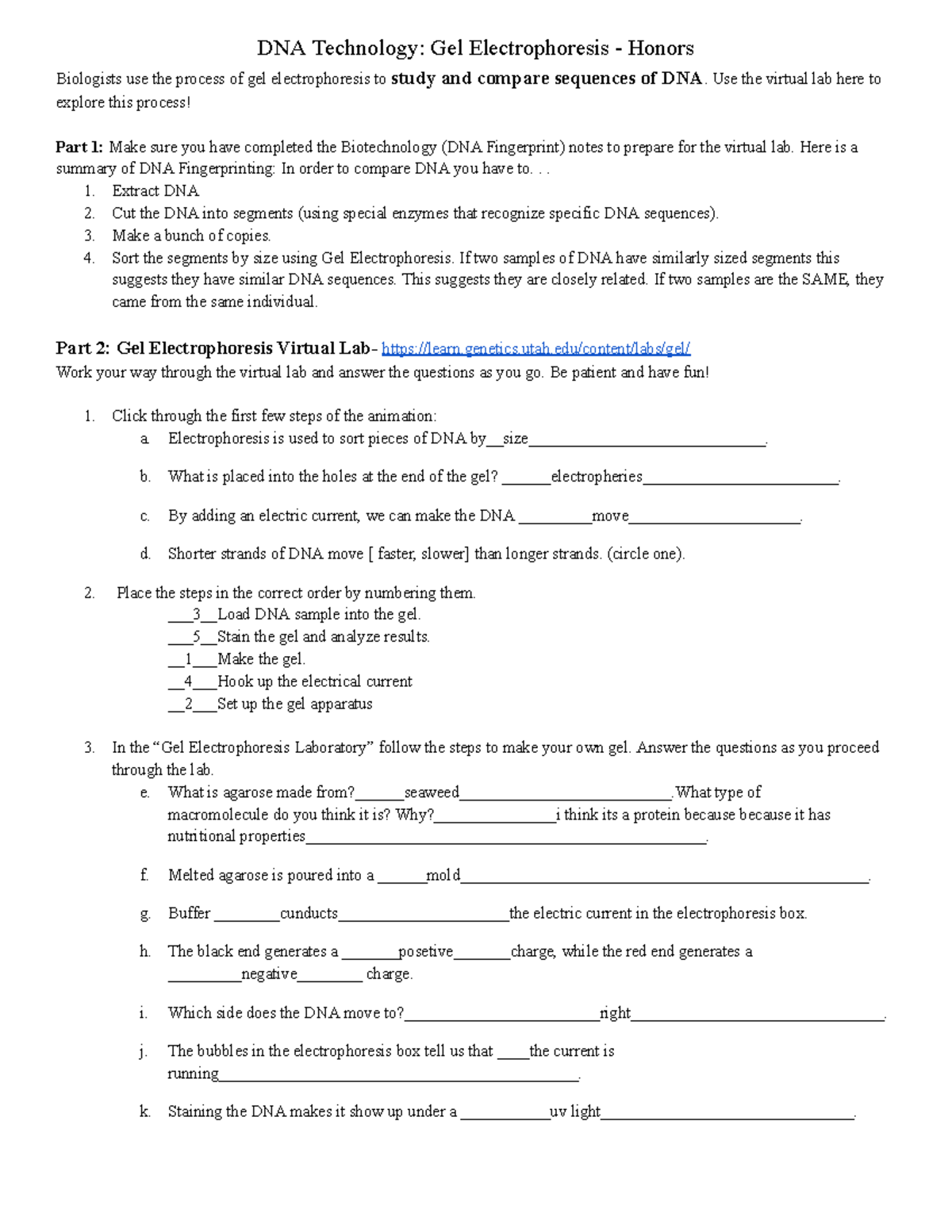 Copy of Honors Gel Electrophoresis Virtual Lab - DNA Technology: Gel ...