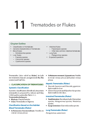 Muscle Histology - [In this video, I’ll teach you the differences ...