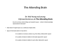 Cognitive Neuroscience 1 - Research Methods - Cognitive Neuroscience Lecture 1 – Research ...