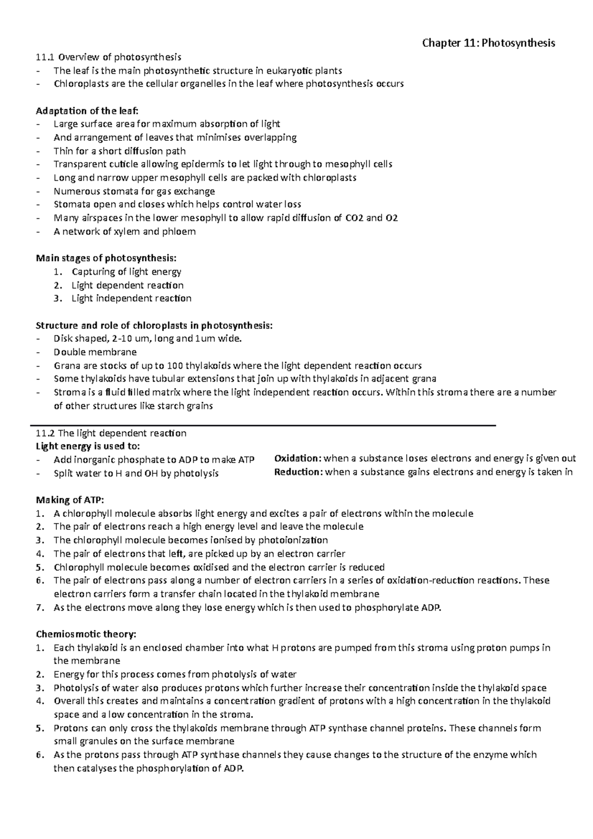 Photosynthesis - A-Level Biology notes - Chapter 11: Photosynthesis 11 ...