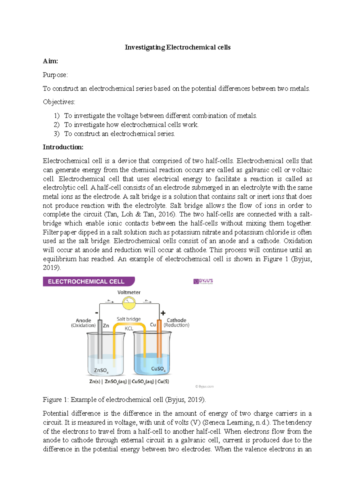 Electrochemical Cells report Investigating Electrochemical Cells Aim