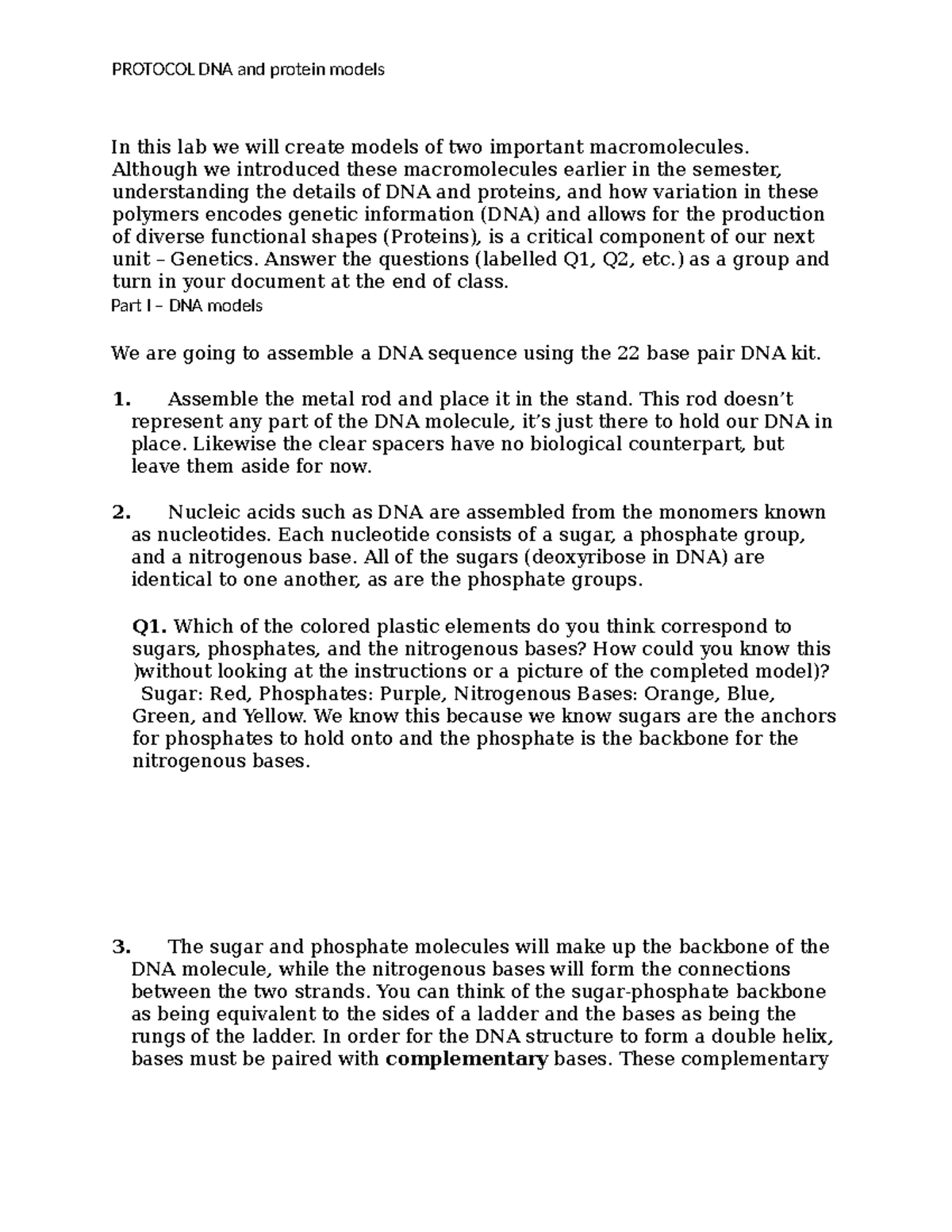 DNA and Protein Models - In this lab we will create models of two ...