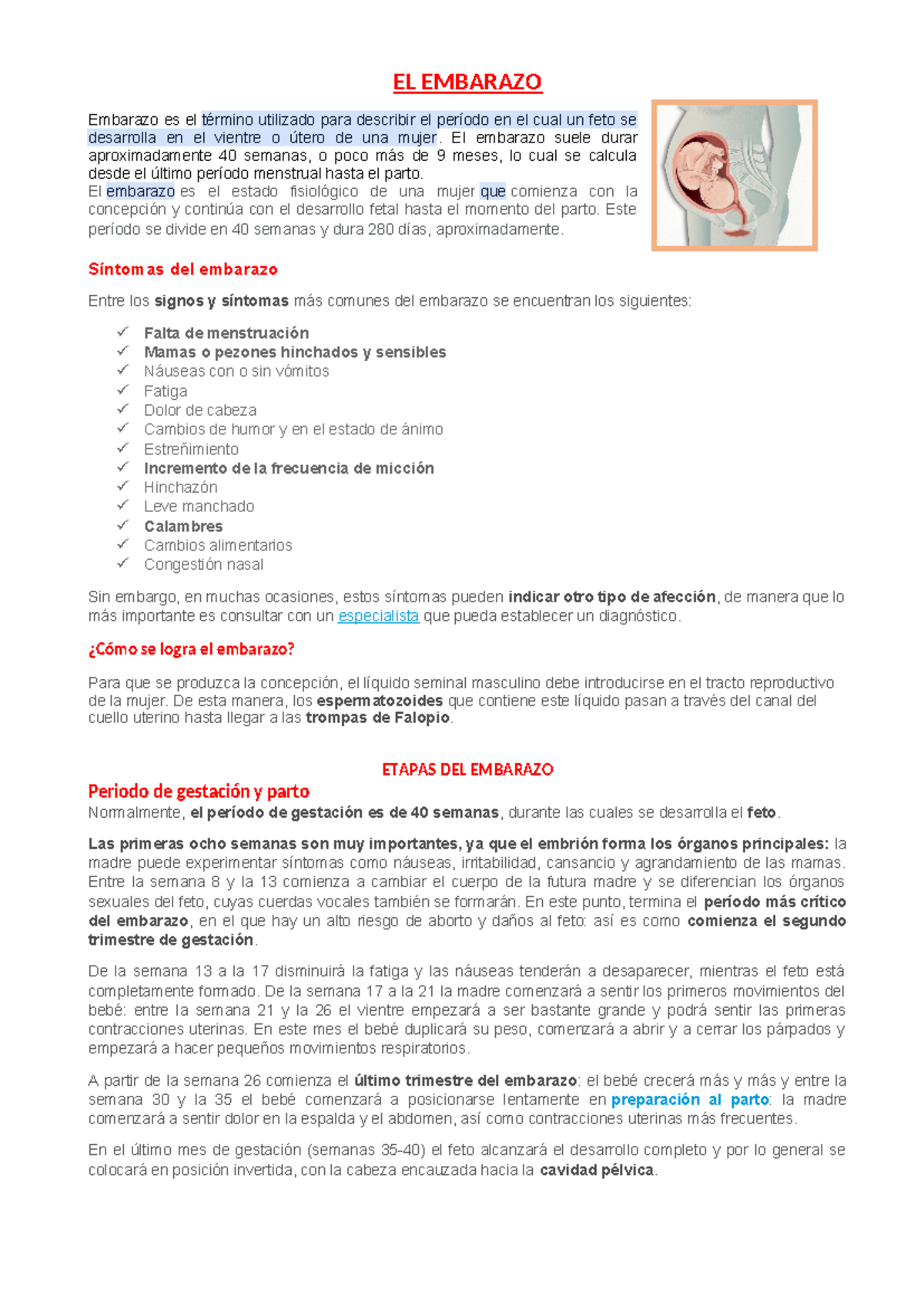 EL Embarazo - EL EMBARAZO Embarazo es el término utilizado para ...