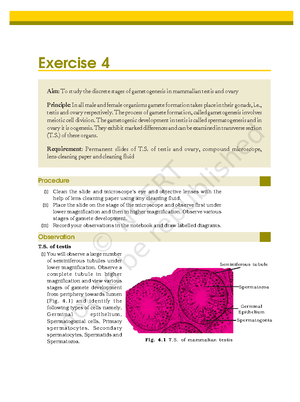 IT PROJECT FOR CLASS 12 - PRACTICAL LAB MANUAL SUBJECT CODE: 802 ...