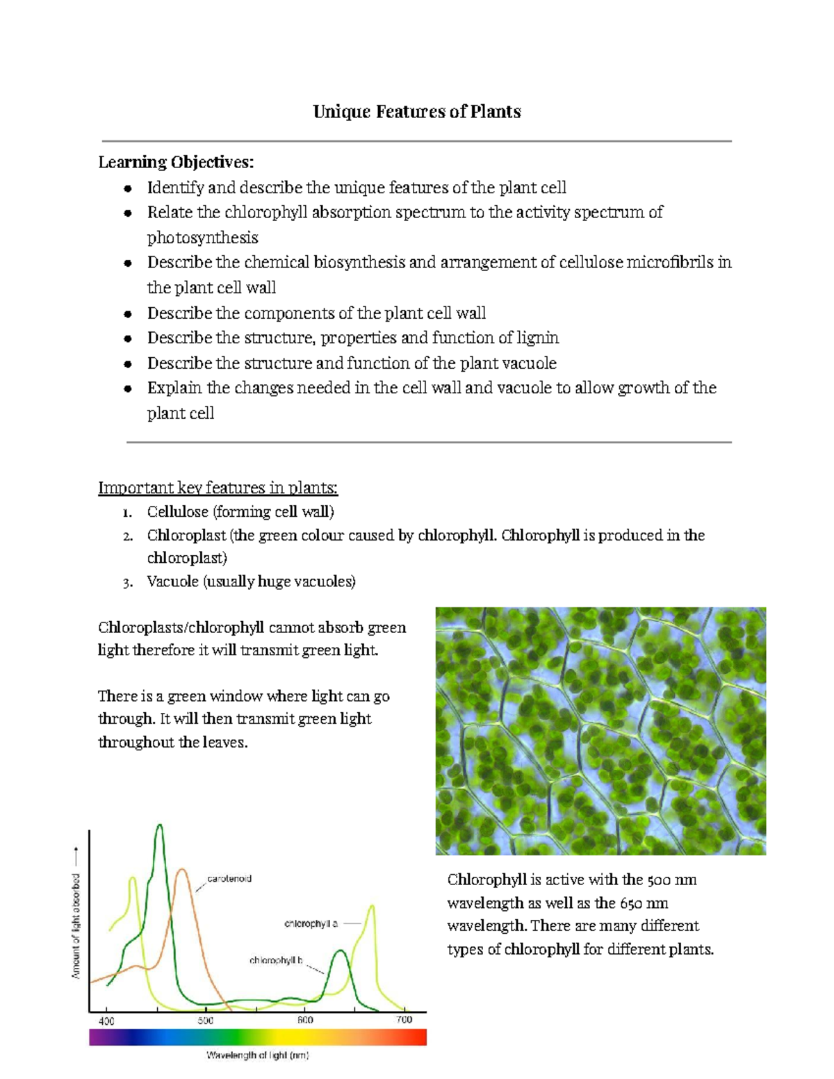 Lecture 1 - Unique Features of plants - Unique Features of Plants ...