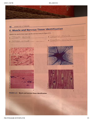 Case study week 4 - notes - Case Study 4: Tissues Yissel Diaz ...