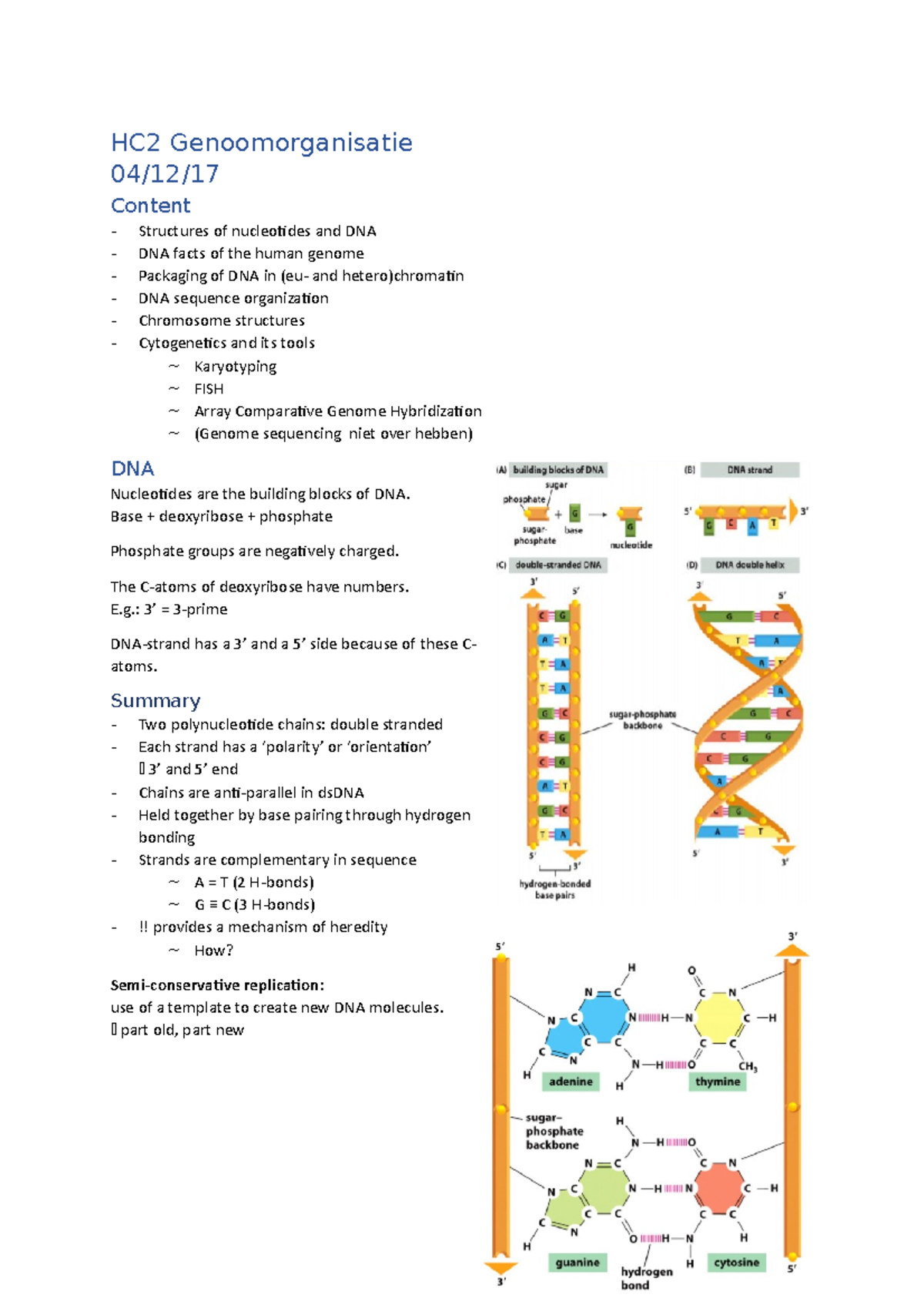 HC2 Genoomorganisatie - HC2 Genoomorganisatie 04/12/ Content Structures ...