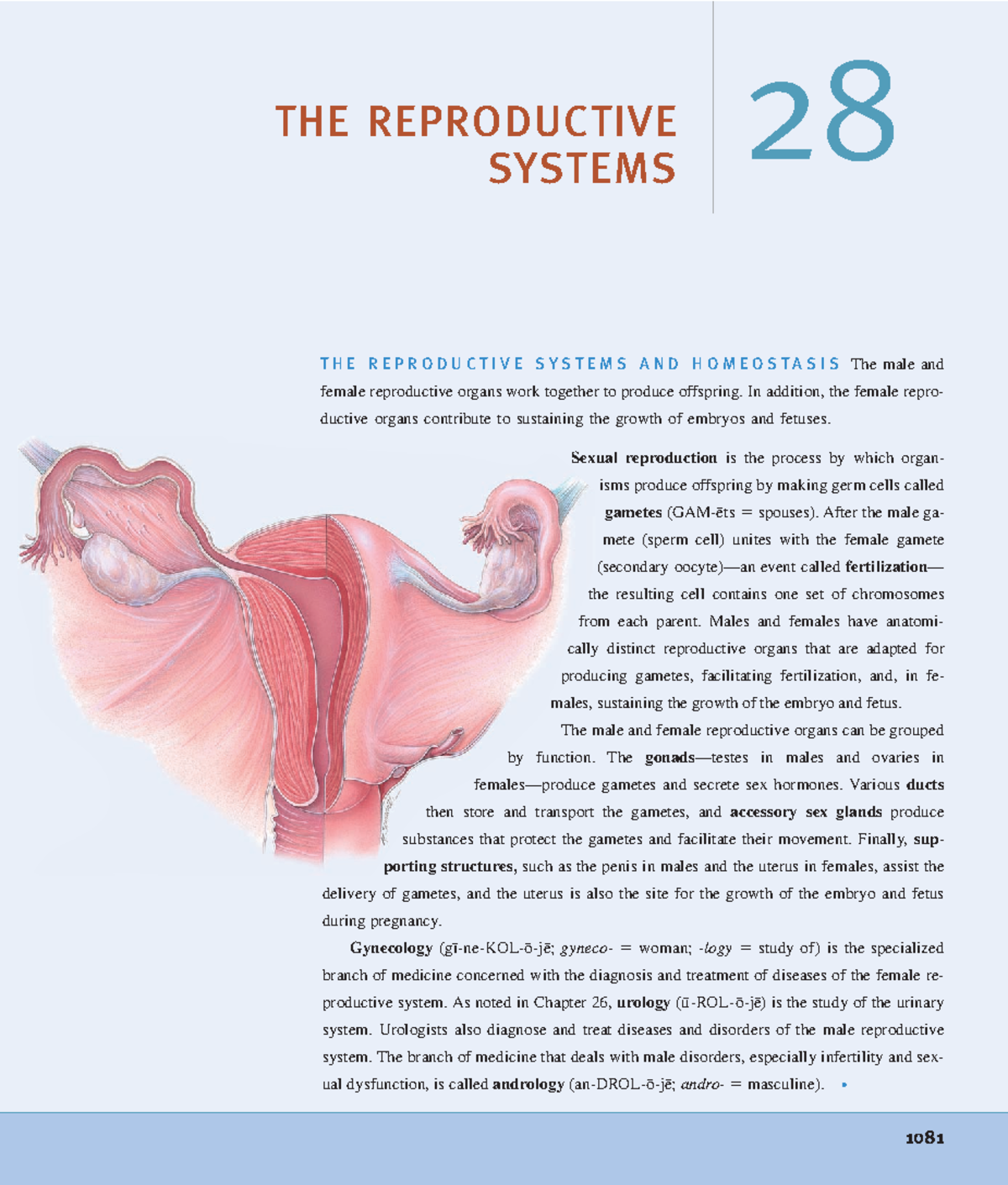 Reproduction - Tortora gerard j.and nicholas, p.principles of anatomy ...